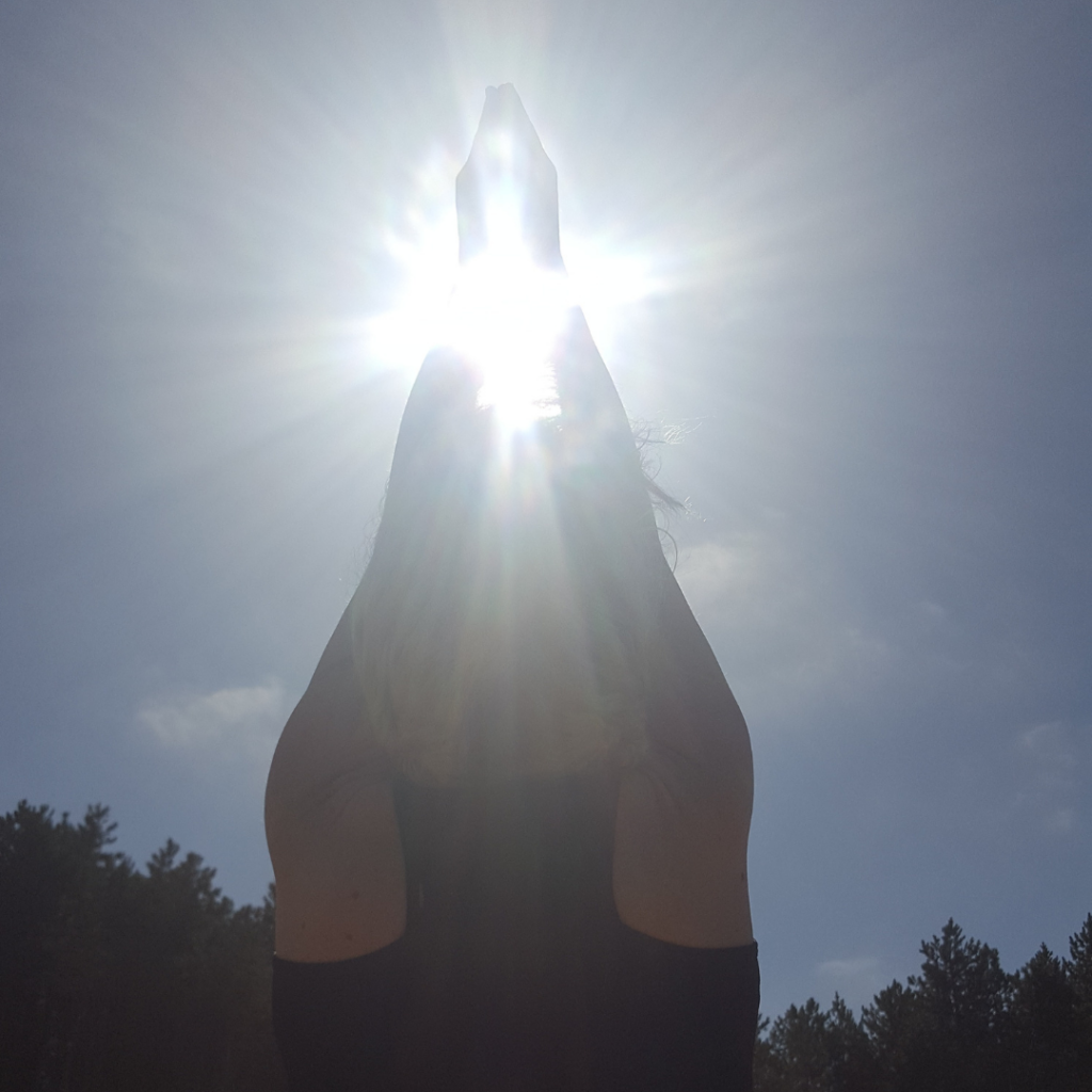 avidya - the first of the kleshas, the obstacles to our happiness ...